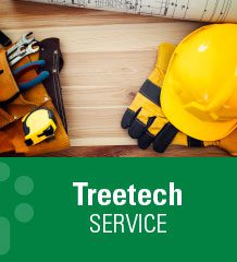 Treetech Service | Treetech